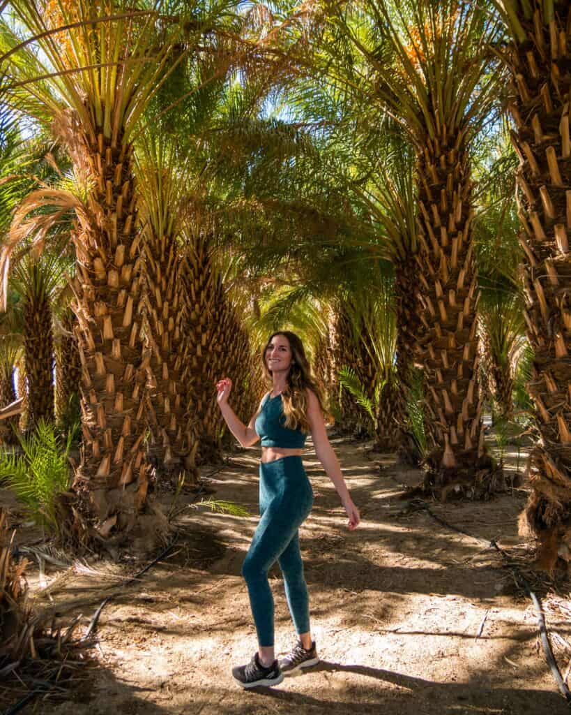 Escape to Paradise: Discover Outdoor Adventures in Greater Palm Springs ...